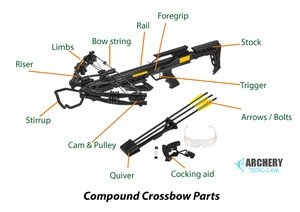 Anatomy Of a Crossbow (with Pictures)