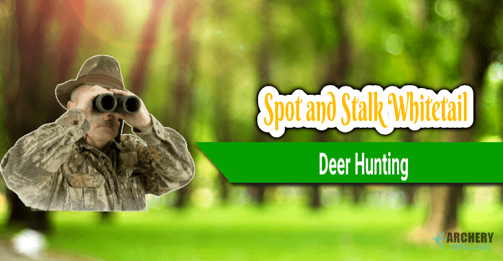 Spot And Stalk Whitetail Deer Hunting (Beginner Guide)