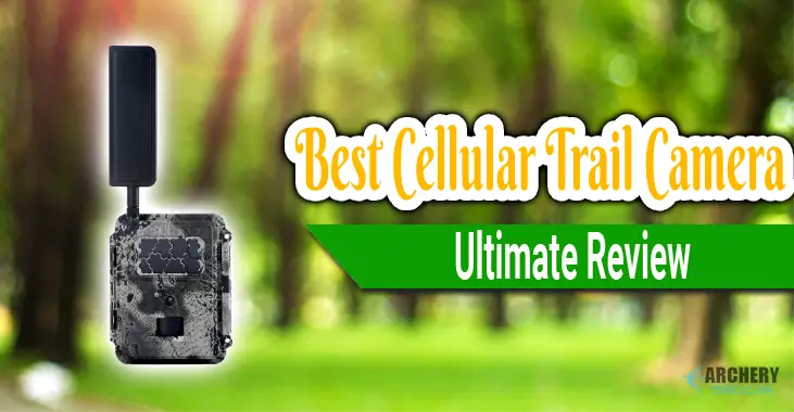 Best Cellular Trail Camera (New 2025 & Tested Out)